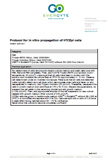 In vitro propagation of hTCEpi cells - Protocol | Pharmaceutical Networking