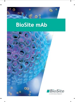 BioSite mAb Catalogue | Pharmaceutical Networking