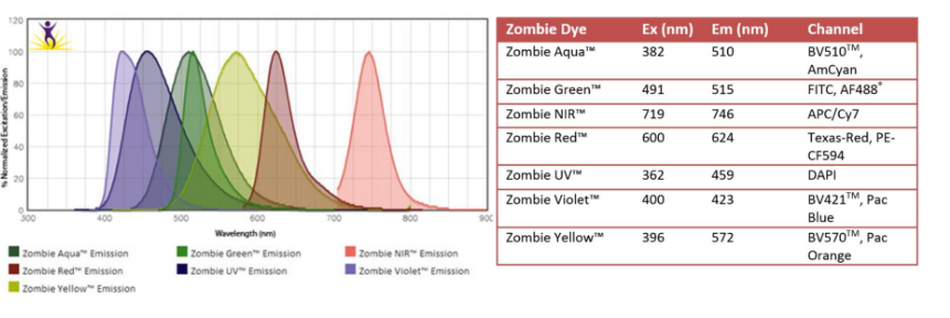 Zombie Fixable Viability Dyes - When It’s a Matter of Life and Death ...