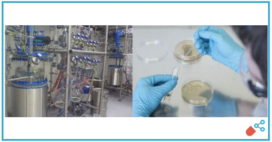 Biosynth showing extended manufacturer and developer capabilities at CPhI Worldwide ...