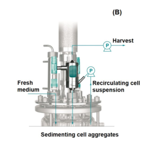 Applikon Biotechnology’s leading role in continuous processing ...