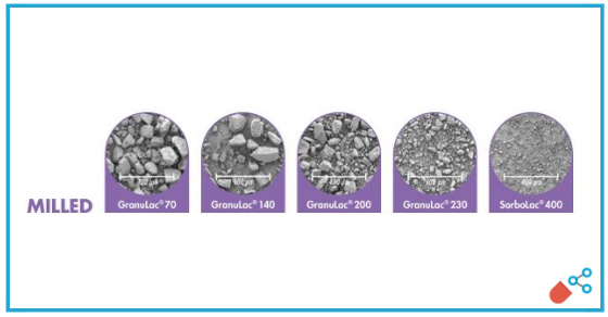Wet Granulation - MEGGLE Excipients & Technology | Pharmaceutical ...