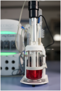 Applikon supports CLEANMEAT project to transform the world’s diet ...