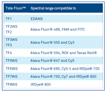 Fluorescently Labeled Peptides and Amino Acids