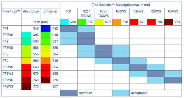Fluorescently Labeled Peptides and Amino Acids