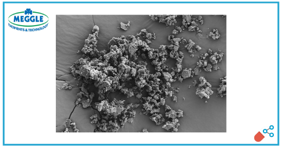MEGGLE InhaLac® lactose-based excipients for dry powder inhalation ...