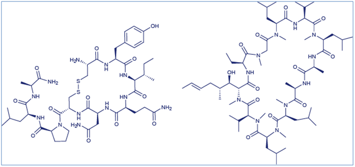 Cyclic Peptides