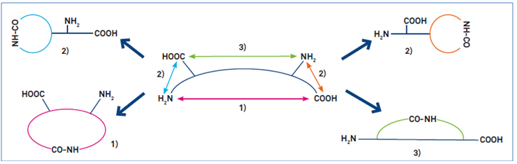 Cyclic peptides