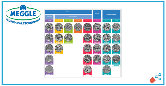 MEGGLE lactose monohydrate powders | Pharmaceutical-Networking.Com