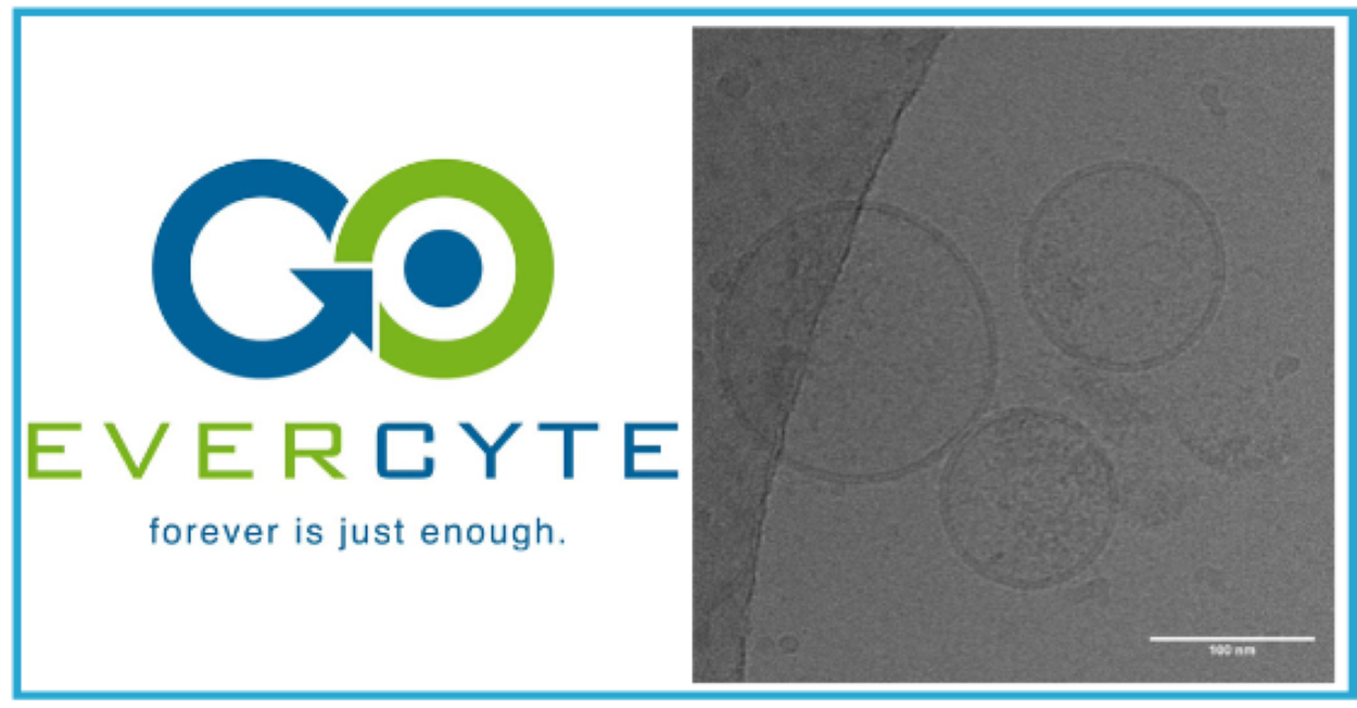 Evercyte Extracellular Vesicles (EVs) | Pharmaceutical Networking