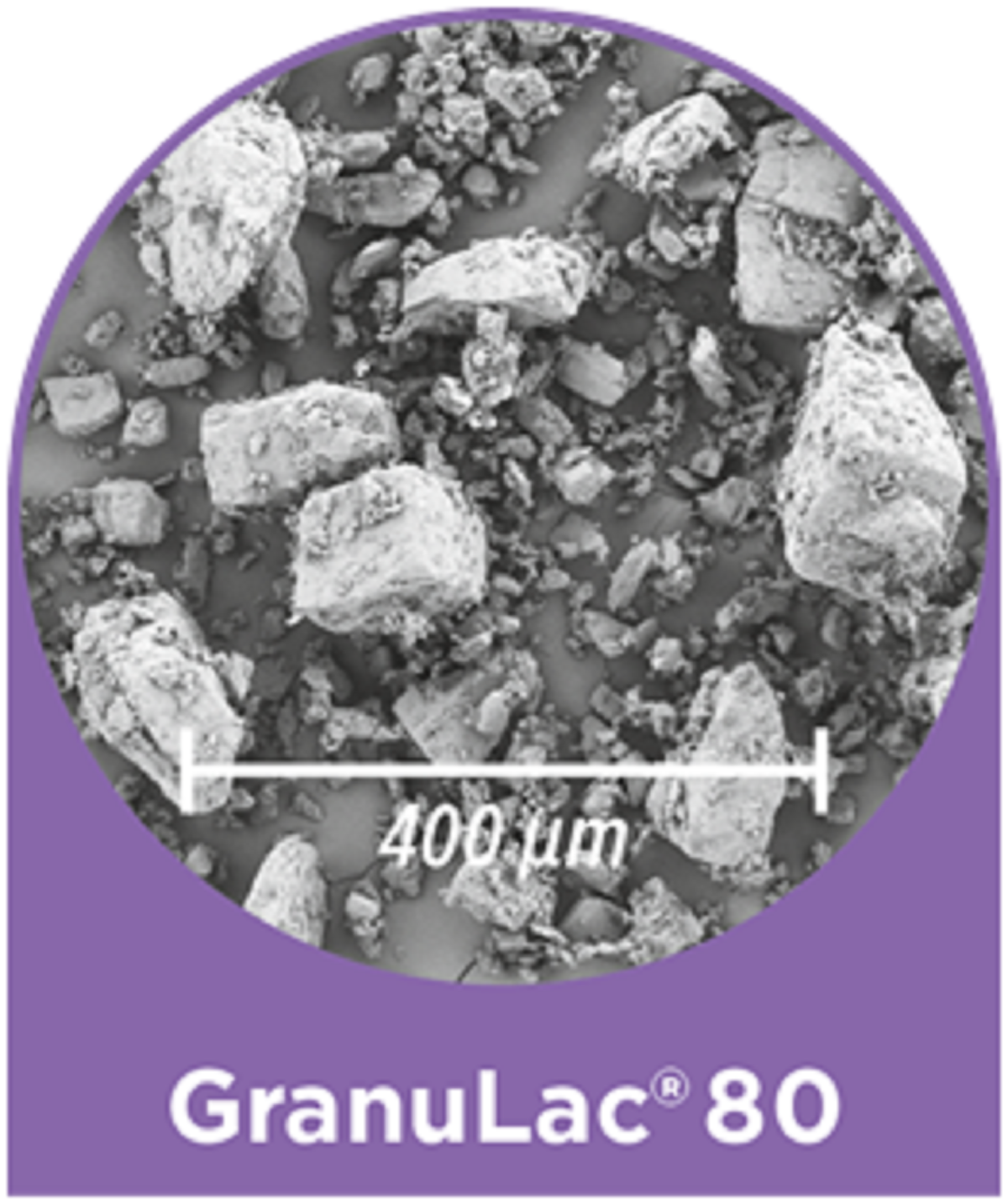 MEGGLE GranuLac® 80 milled alpha-lactose monohydrate grade