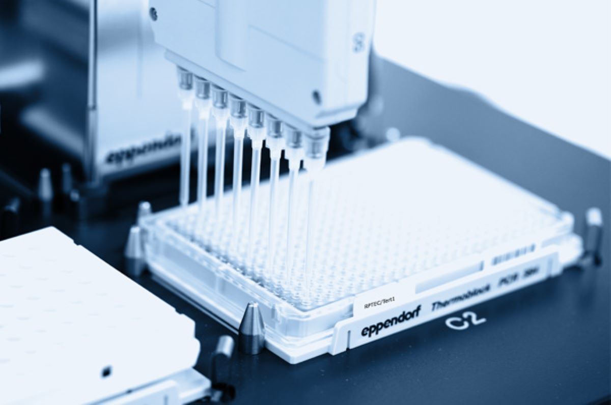 Evercyte cell-based assays and in-vitro drug testing services