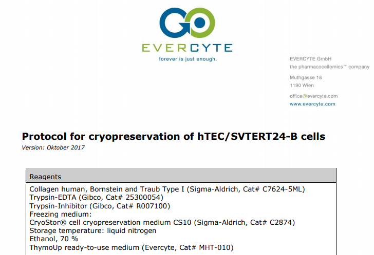 Cryopreservation of hTEC/SVTERT24-B cells - Protocol