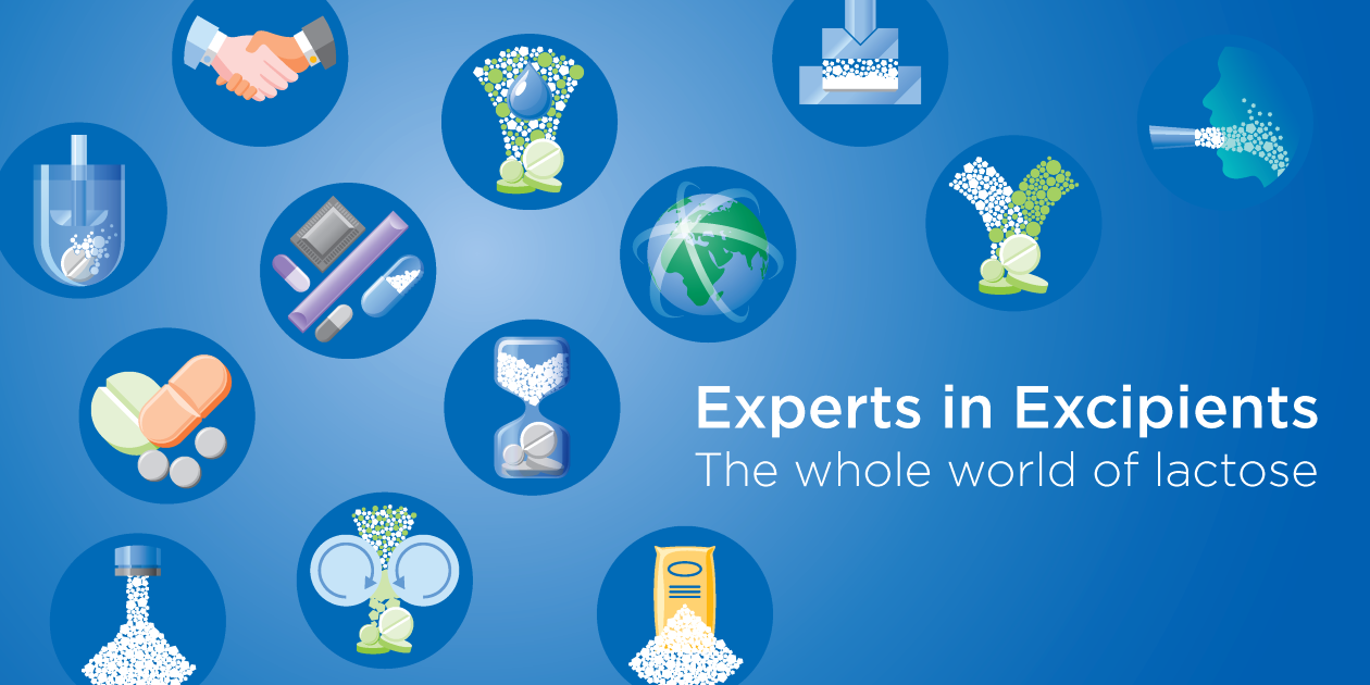 Co-processed hypromellose lactose excipient for direct compression
