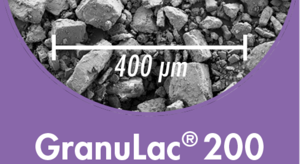 MEGGLE lactose monohydrate excipient properties