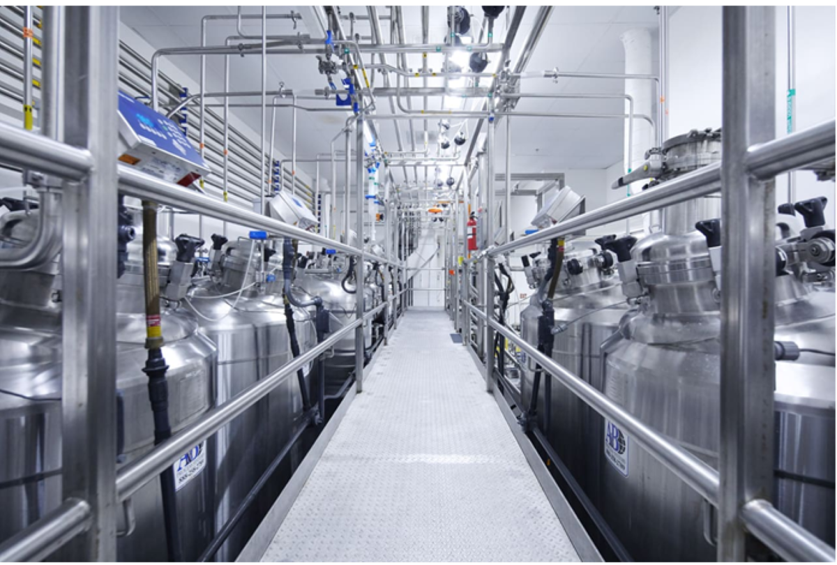 Important changes in Bachem Executive Management to strengthen North ...