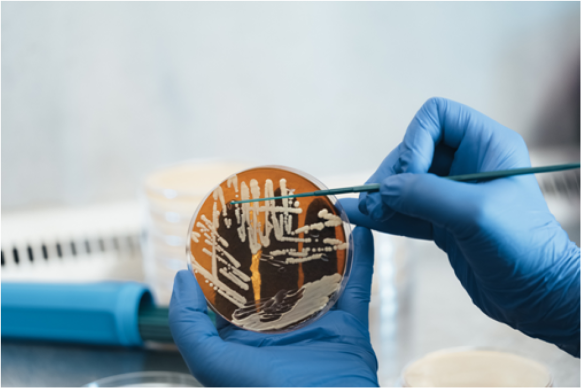 Enzyme Services and Technologies Overview