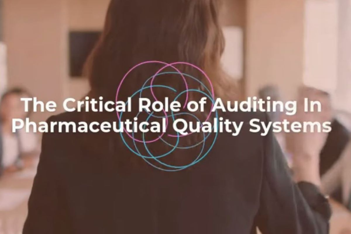 Auditing for Quality Excellence