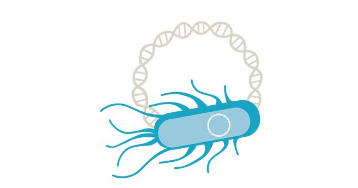 White Paper – Advanced Plasmid DNA Manufacturing